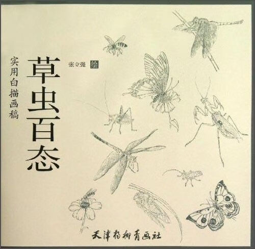 实用白描画稿.草虫百态