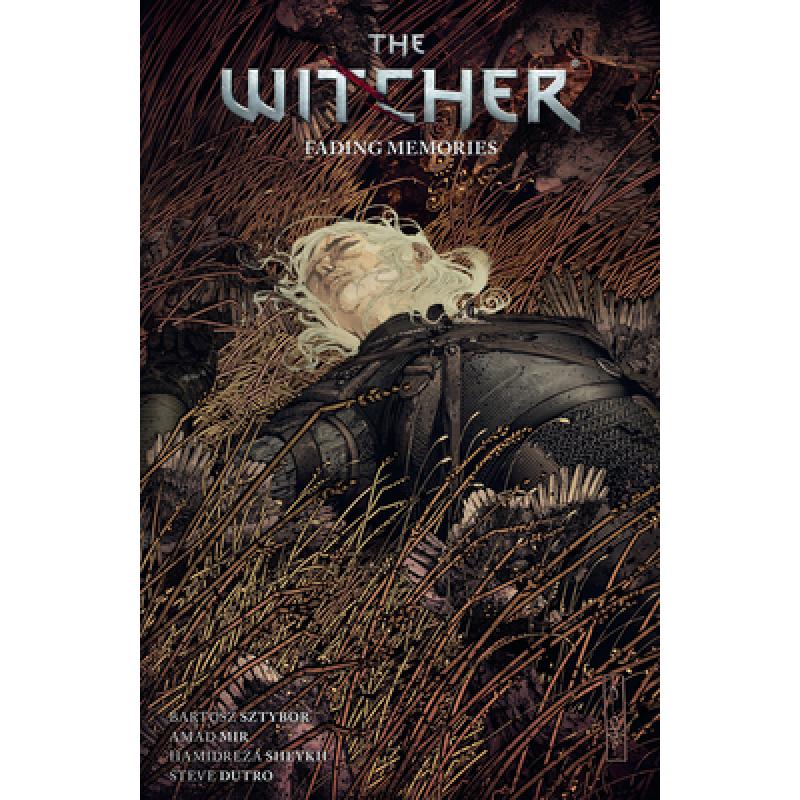 The Witcher Volume 5: Fading Memories