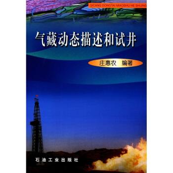 气藏动态描述和试井 庄惠农 著