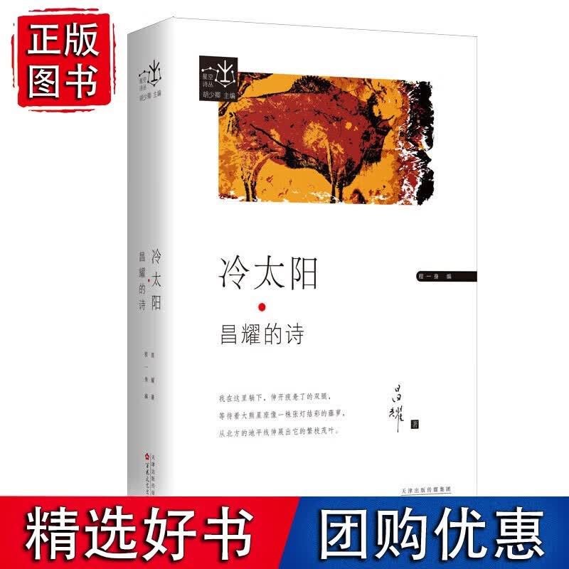 冷太阳：昌耀的诗（星空诗丛系列）
