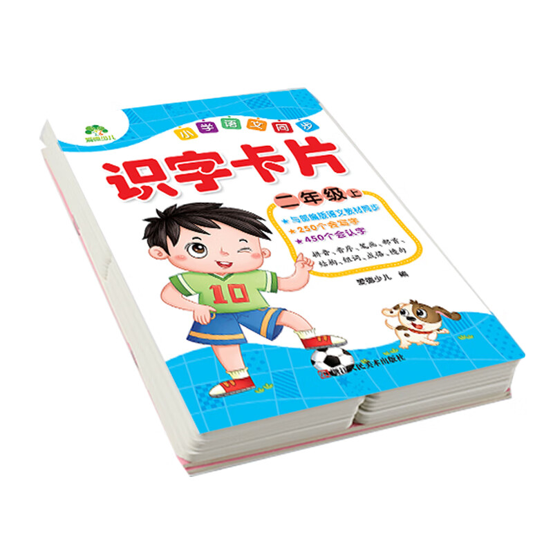 小学语文同步识字卡片二年级上册识字卡片二年级上册部编版课本同步小学生无图识字卡片带拼音教师用新生认字生字卡片