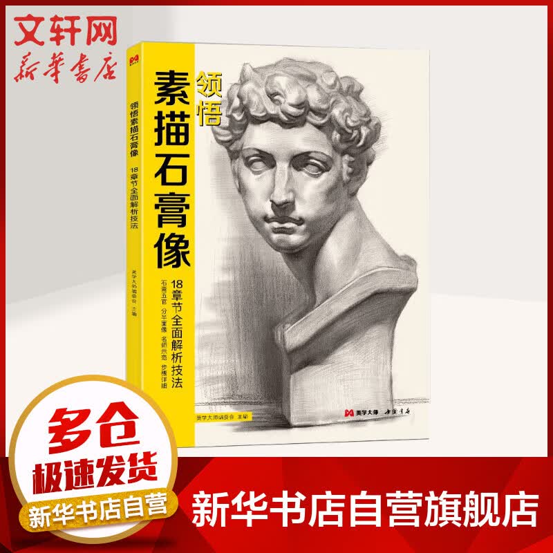 领悟素描石膏像 图书