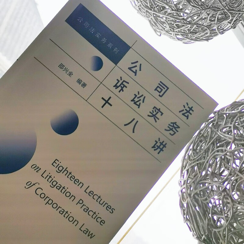公司法诉讼实务十八讲 图书