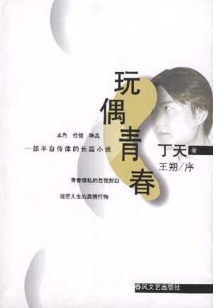 玩偶青春 丁天