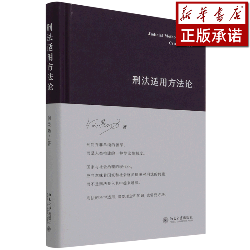 刑法适用方法论(精)