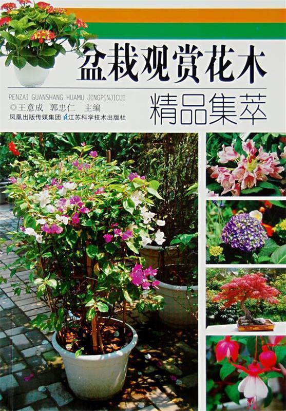 盆栽观赏花木精品集萃