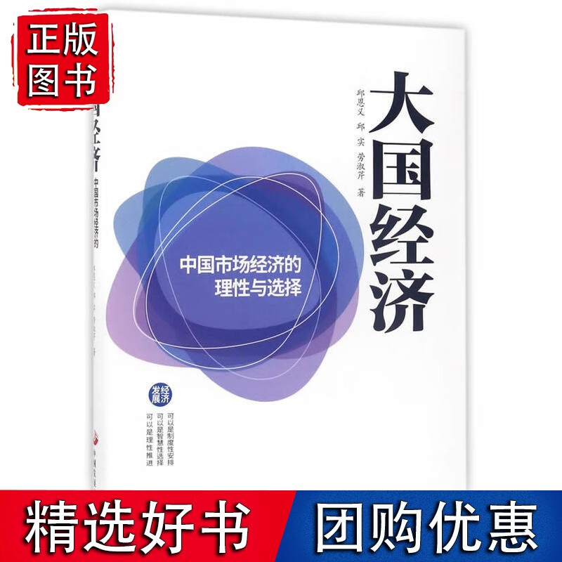 大国经济:中国市场经济的理性与选择
