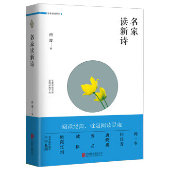名家读新诗