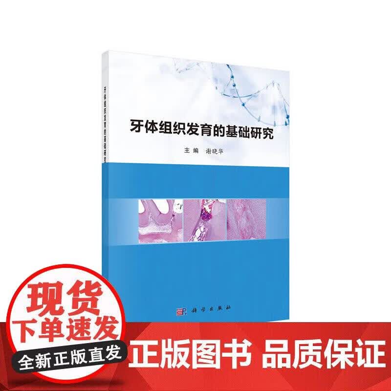 牙体组织发育的基础研究