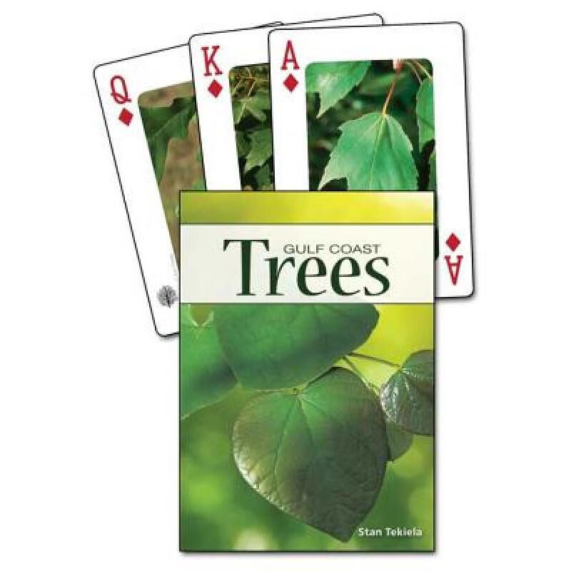 Trees of the Gulf Coast