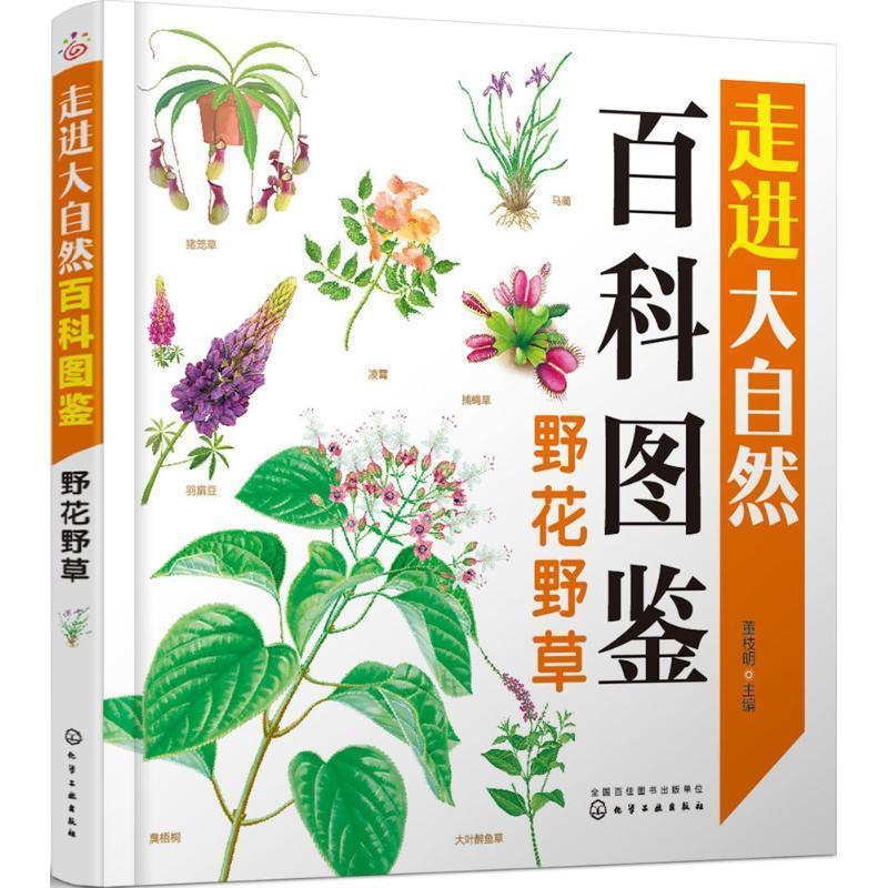 野花野草