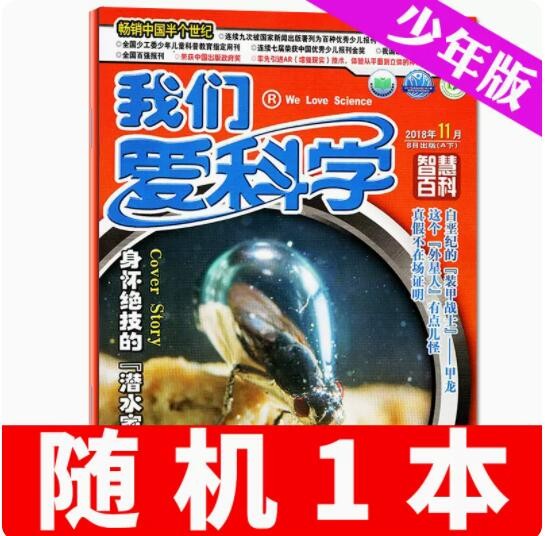 我们爱科学杂志少年版升级版2023/2022年1-12月（当月/季度/全年/半年订阅打包订阅）小学初中生青少科普百科知识课外阅读非过期刊 我们爱科学（少年版随机一本）