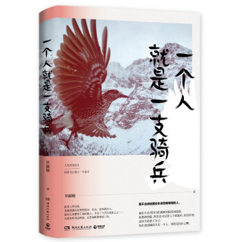 一个人就是一支骑兵 wl 湖北 湖南文艺出版社