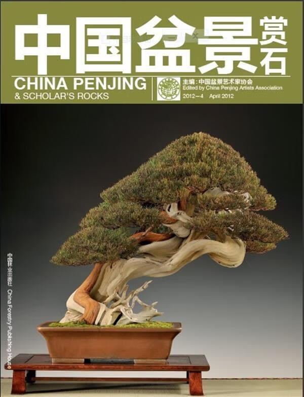 中国盆景赏石2012-4