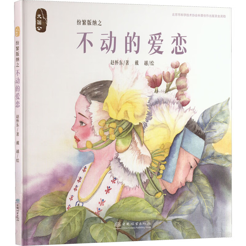 纷繁版纳不动的爱恋 图书