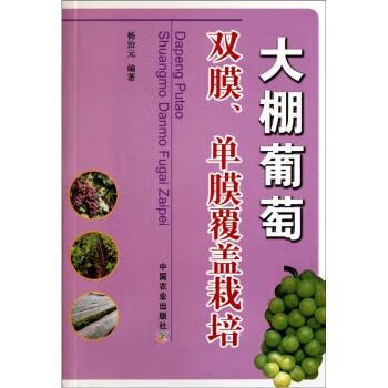 大棚葡萄双膜、单膜覆盖栽培