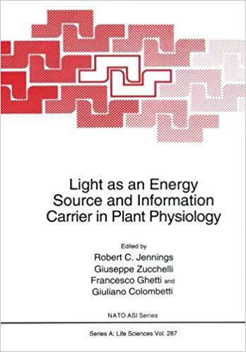 Light as an Energy Source and Information Carrier in Plant Physiology