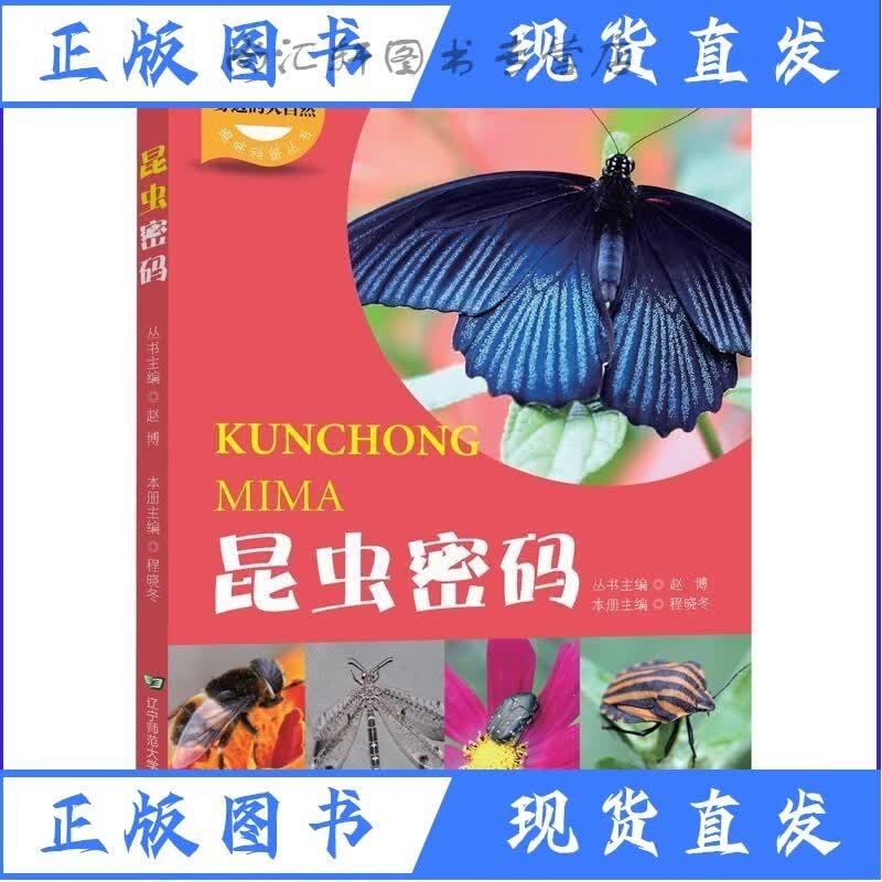 全新昆虫密码赵博 昆虫普及读物自然科学Z