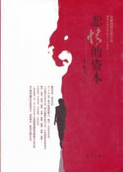书籍 悲情的资本 朱金亮 凤凰出版社