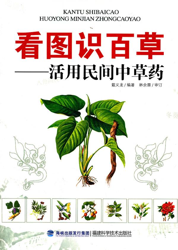 看图识百草活用民间中草药