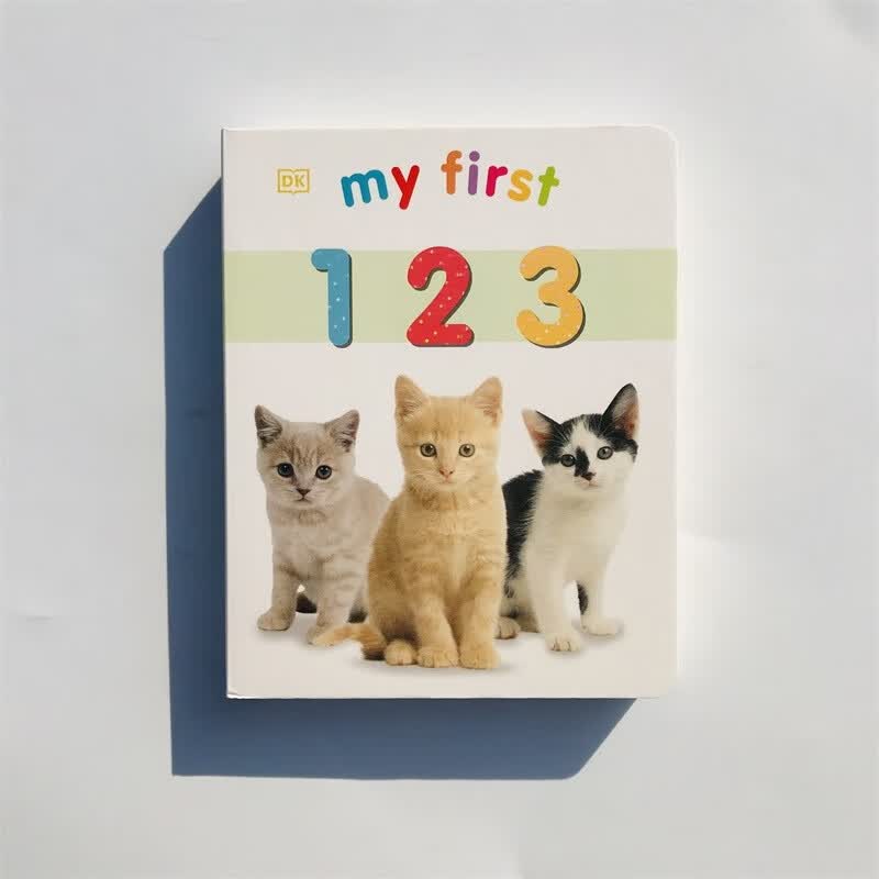 原版DK实图早教 My First 123 纸板书