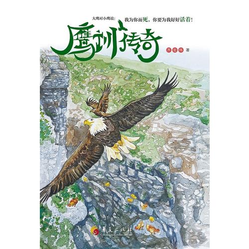 鹰训传奇【特惠】