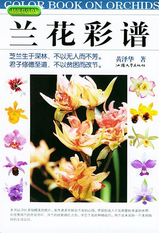 兰花彩谱