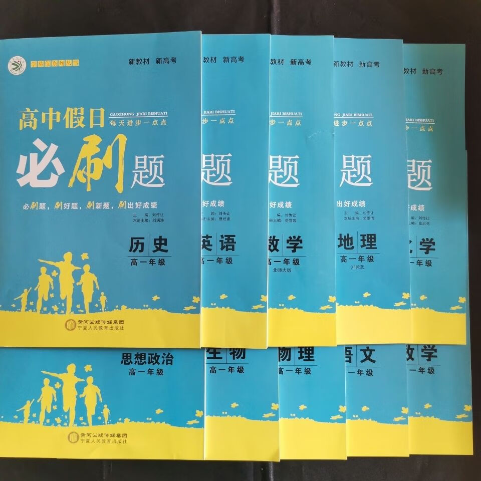 2022学易优 新教材 新高考 高中假日 必刷题 高一九科 自选 化学