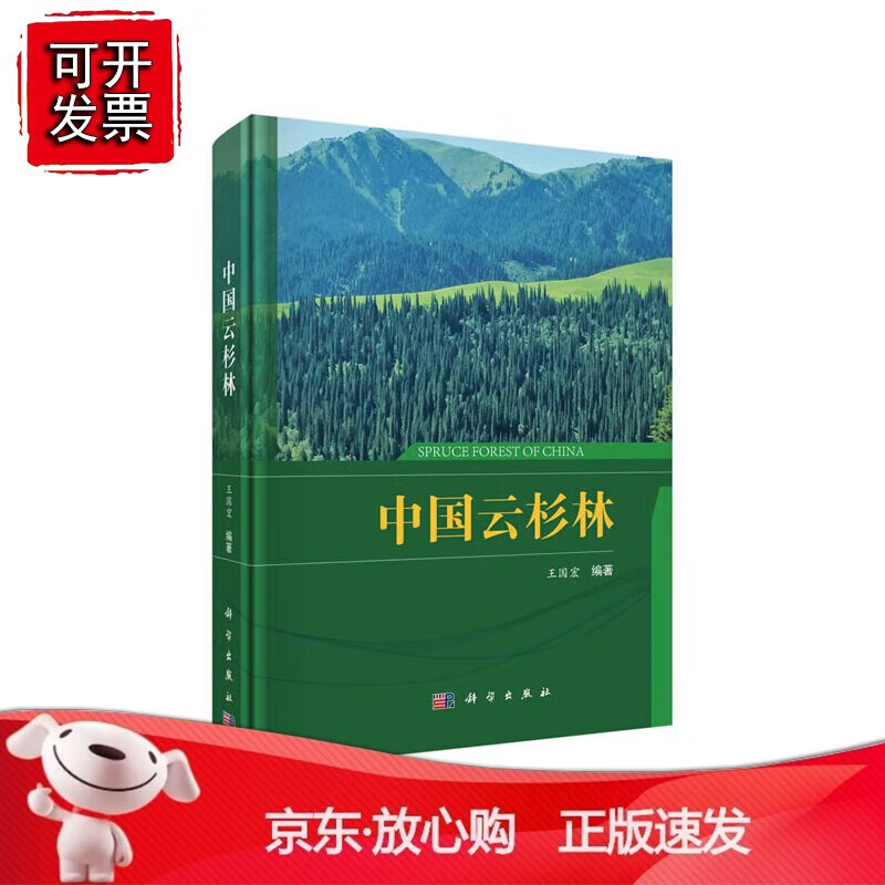 中国云杉林