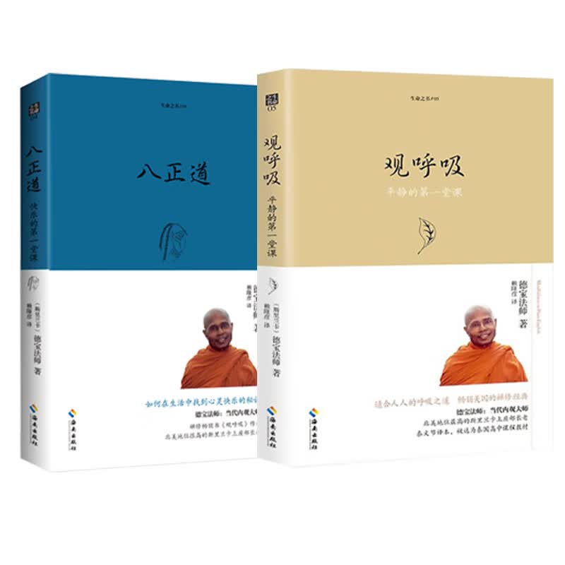 观呼吸+八正道 德宝法师作品