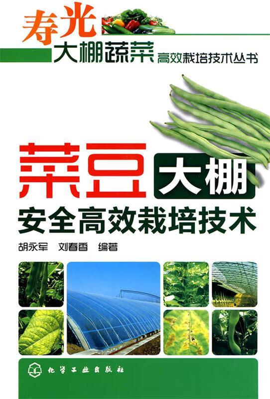菜豆大棚安全高效栽培技术