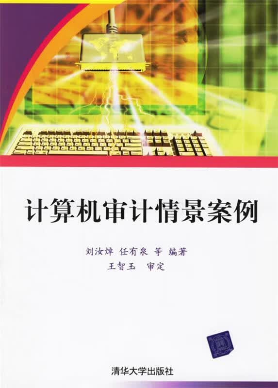 计算机审计情景案例
