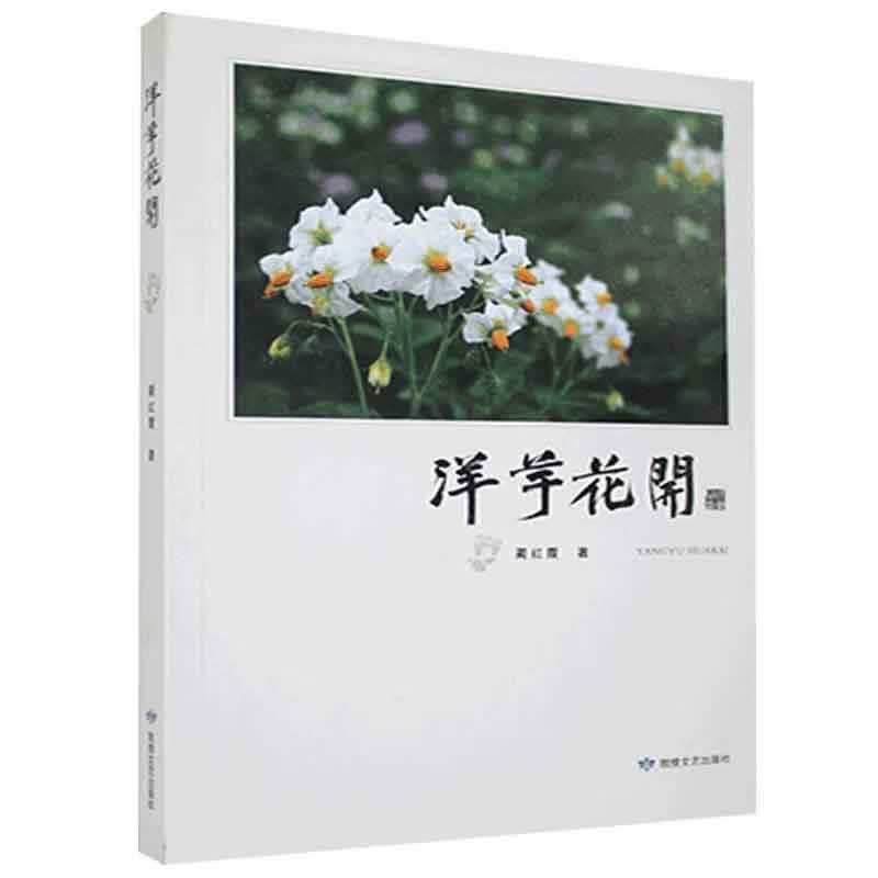 洋芋花开蔺红霞敦煌文艺出版社9787546819662 小说书籍