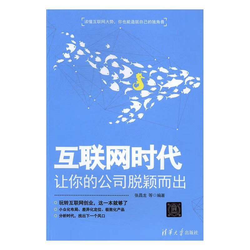 互联网时代：让你的公司脱颖而出 管理 张昌龙等编著 清华大学出版社 9787302448679
