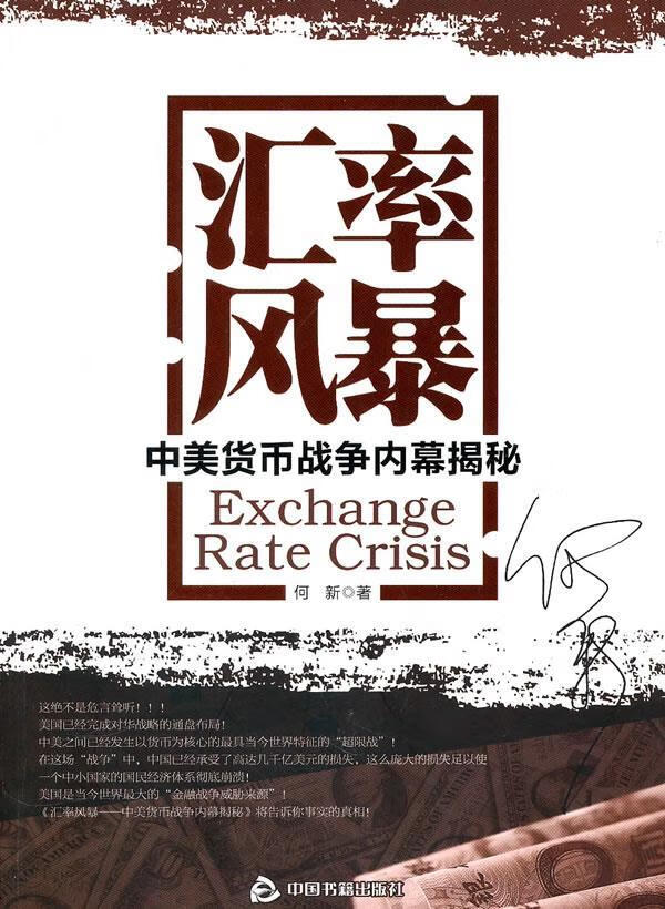 汇率风暴 何新 著