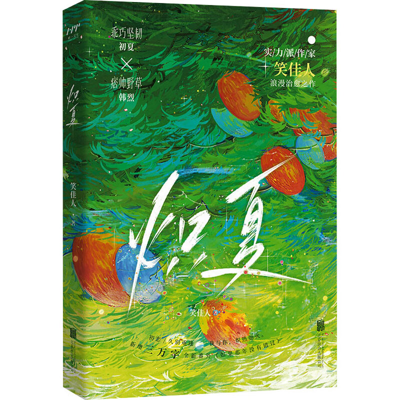 炽夏 图书