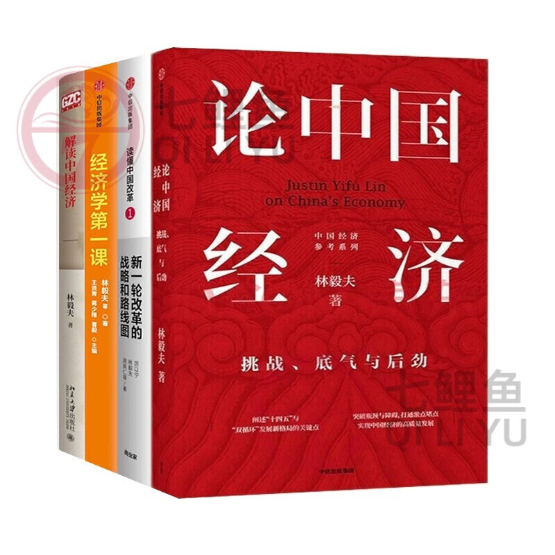 林毅夫经典作品集（全4册）经济学课+读懂中国改革1+论中国经济+解读中国经济林毅夫著作  图书