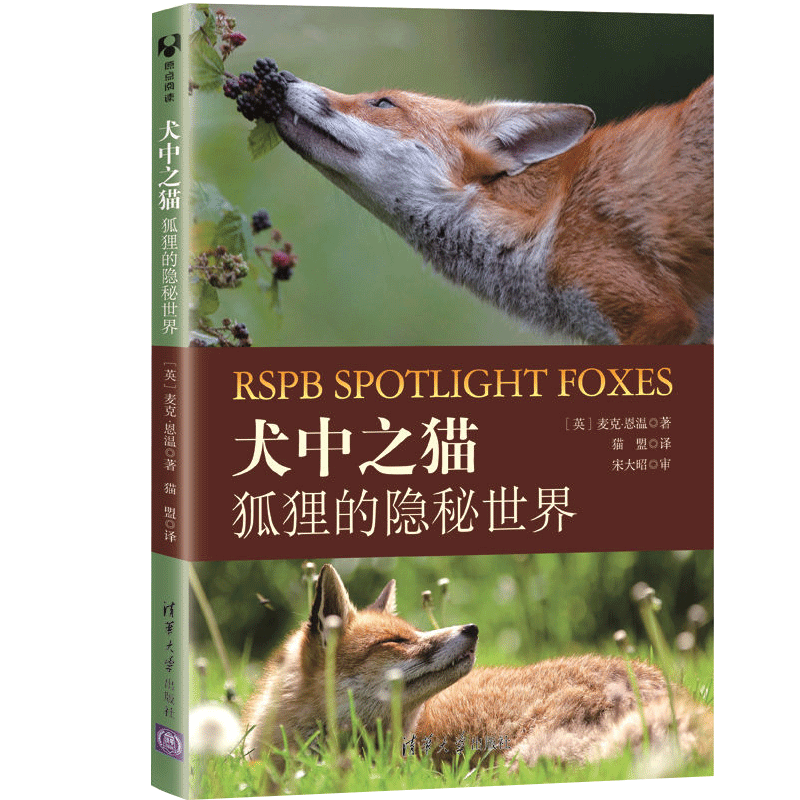 犬中之猫 狐狸的隐秘世界