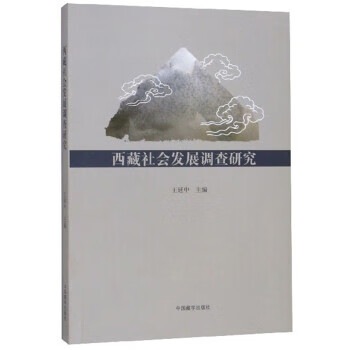 西藏社会发展调查研究 王延中【书】