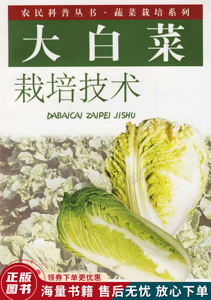 大白菜栽培技术