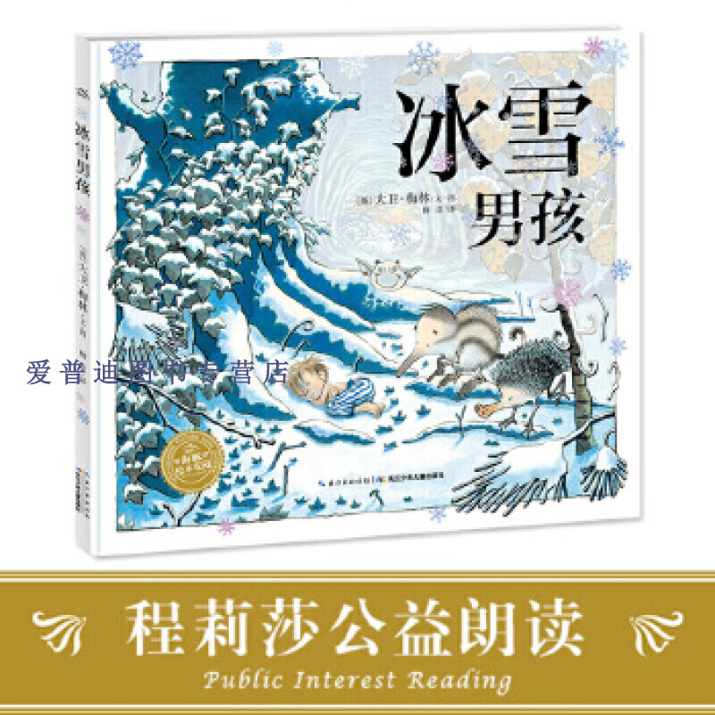 海豚绘本花园 冰雪男孩 大卫·梅林【，放心购买】