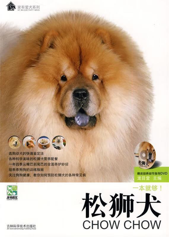 松狮犬【，放心购买】