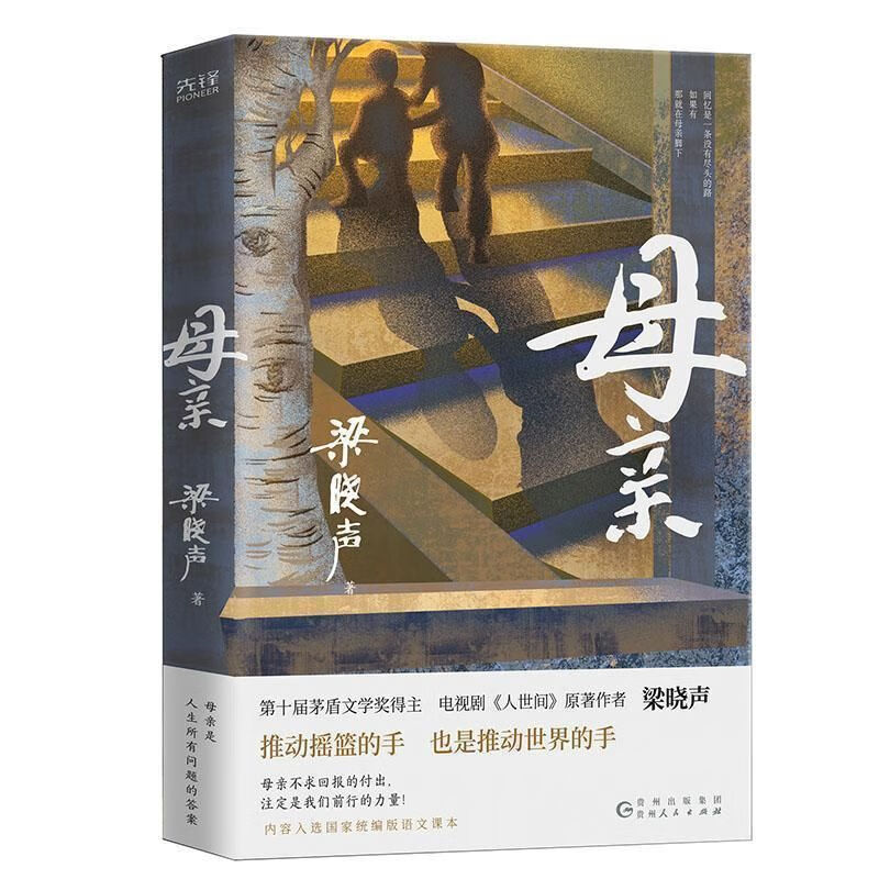 母父人间烟火 茅盾文学奖得主 电视剧《人世间》梁晓声书籍 母亲 平装