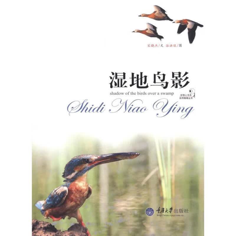 湿地鸟影