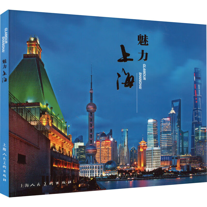 魅力上海 图书