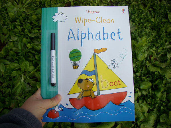 wipe clean可擦写幼儿童描红练习册涂色本玩具游戏3本 白色 alphabet