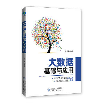 大数据基础与应用 陈明
