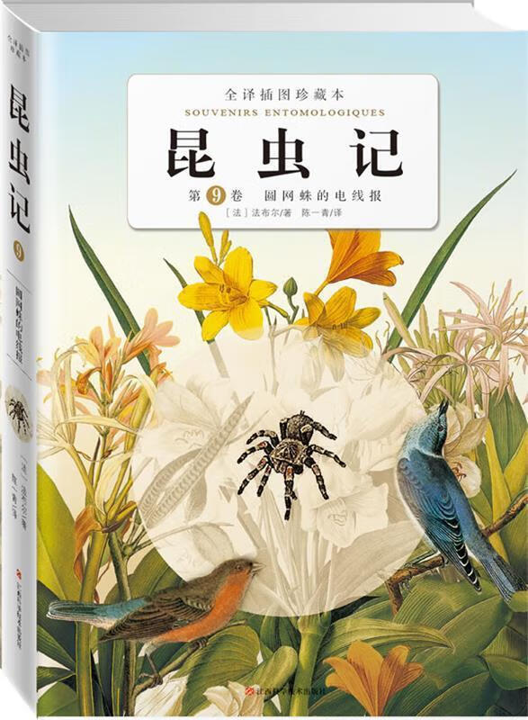 昆虫记:第九卷圆网蛛的电线报