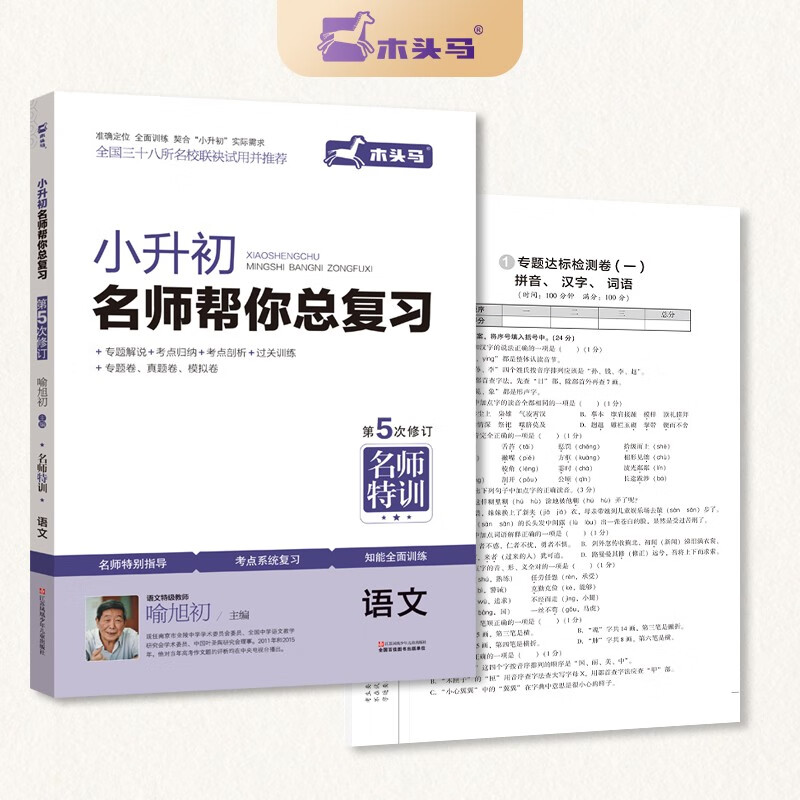 小升初名师帮你总复习新版小学知识大全语文 木头马 六年级上下册考点知识大集结小升初衔接复习卷子练习册