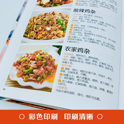 过瘾湘菜 湘菜菜谱书家常菜大全做法湖南烹饪书图解新手川湘特色菜厨师书正宗川湘菜谱大全厨师书日常家庭美